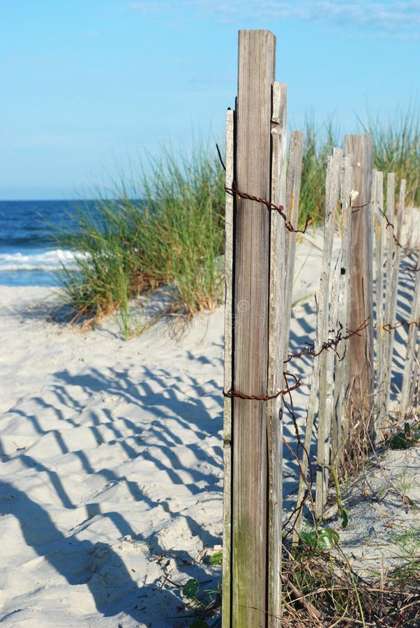 Beach Fence stock image. Image of carolina, fencing, grow - 24485289