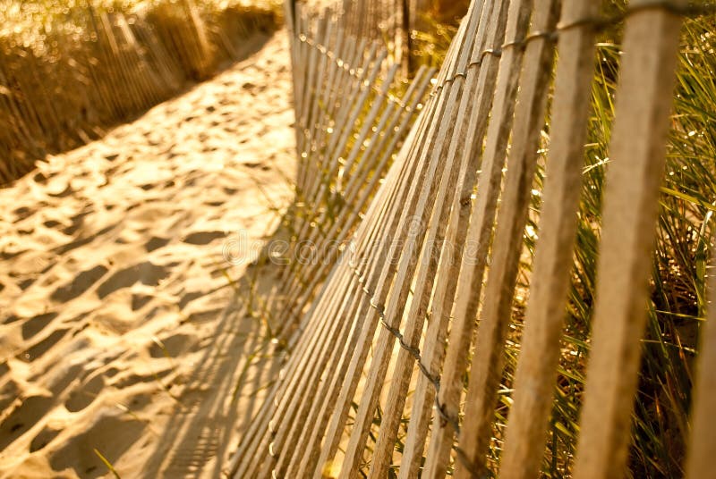 Beach Fence stock image. Image of tanning, sand, scene - 24705407