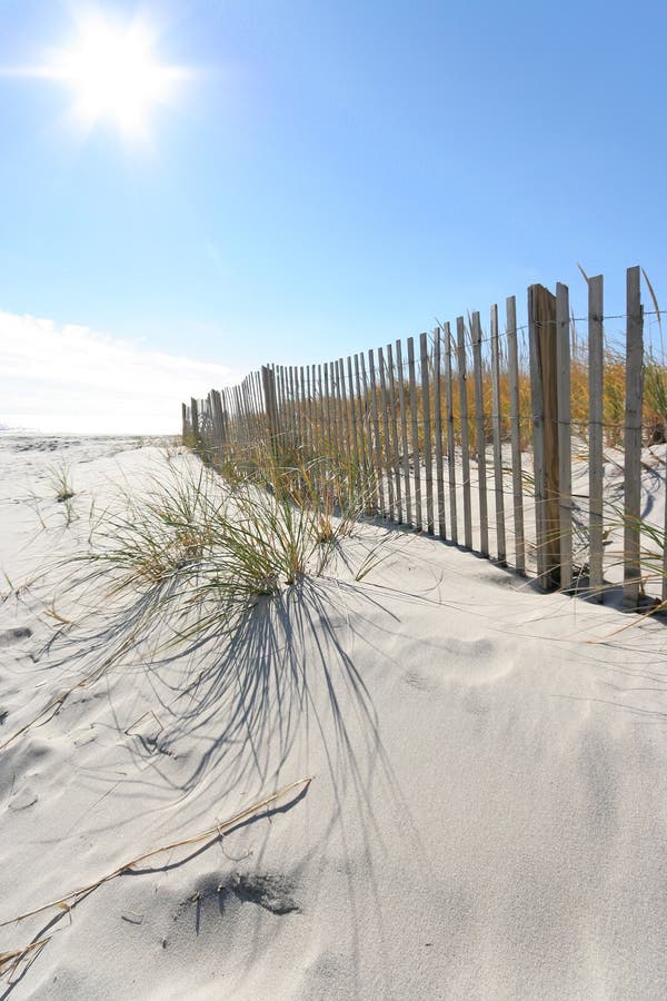 Beach dunes stock image. Image of fence, ocean, fencing - 3847755