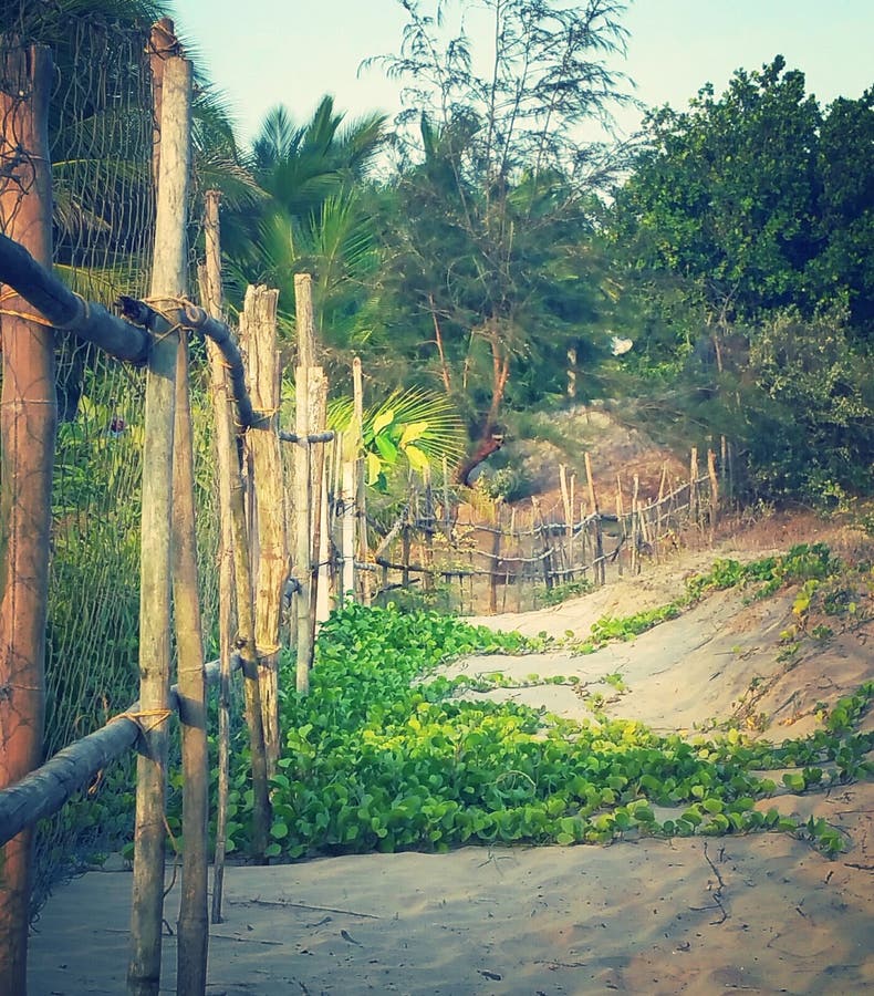 Beach fence stock photo. Image of india, bikini, protection - 54743908