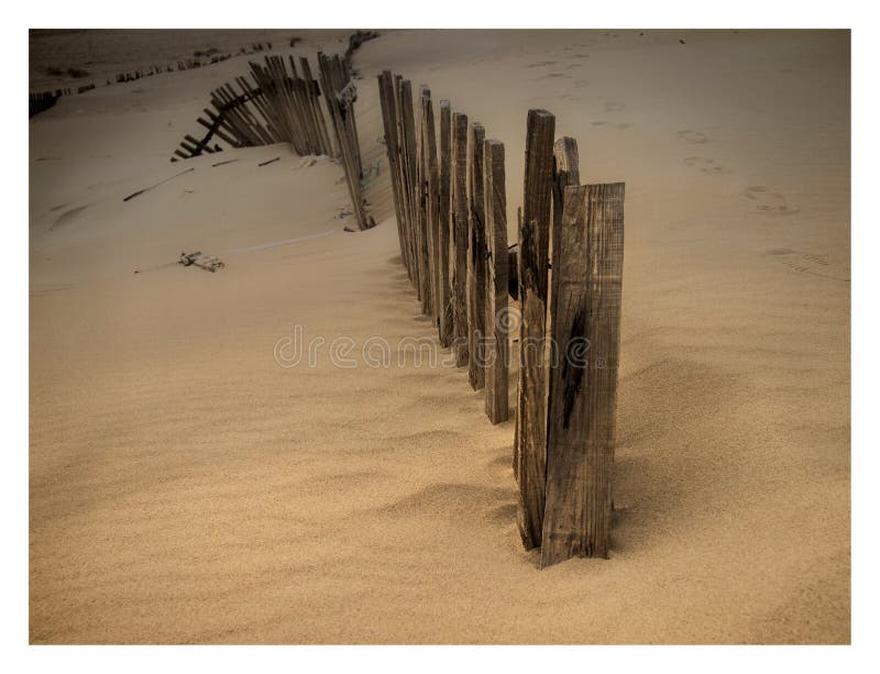 Beach fencing stock image. Image of wind, wood, landform - 7666937