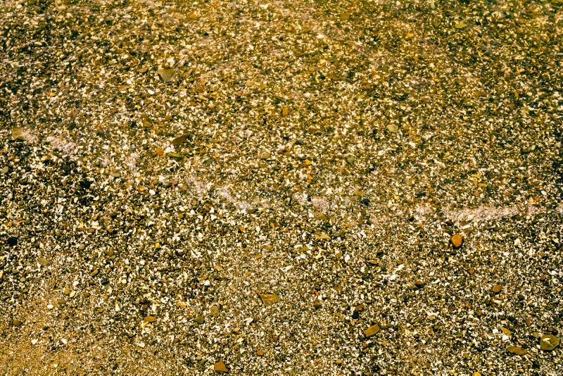 A Beach Filled with Rocks, Sand, and Broken Shells in Geneva-on-the ...