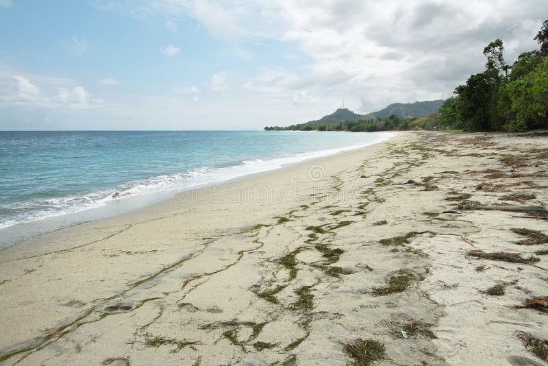 Beach in Flores island stock photo. Image of seascape - 43564204