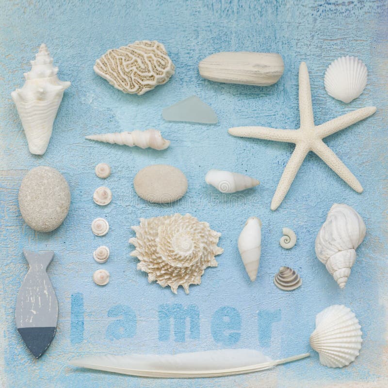 Beach flotsam collage stock photo. Image of flotsam, shell - 7323736