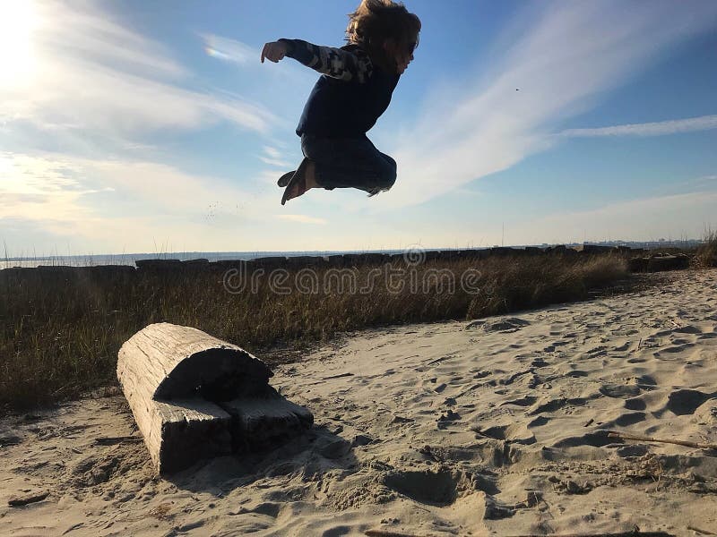 Soaring stock image. Image of blue, soaring, flying - 118427295