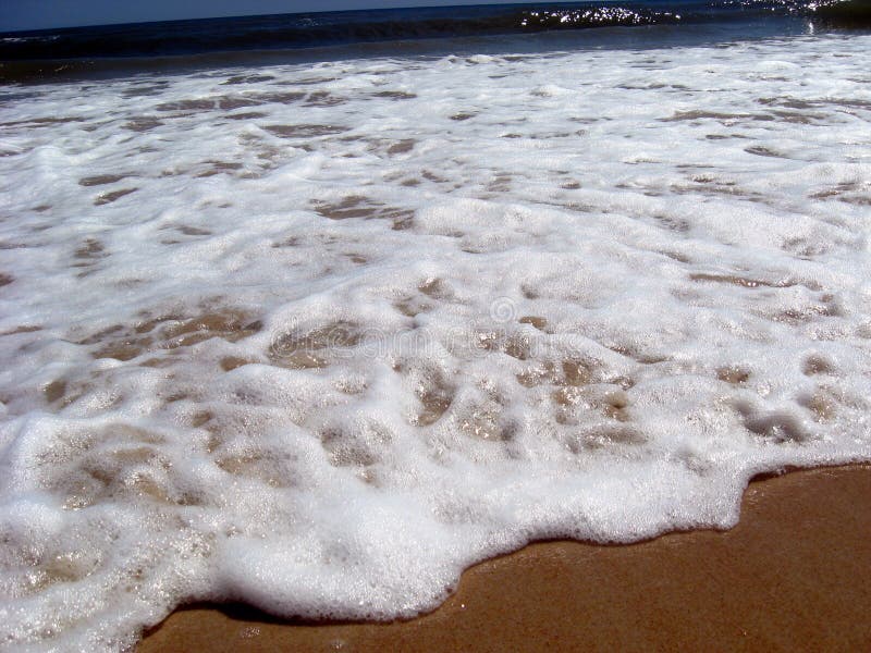 Beach Foam stock photo. Image of ocean, sunny, beach - 49393446