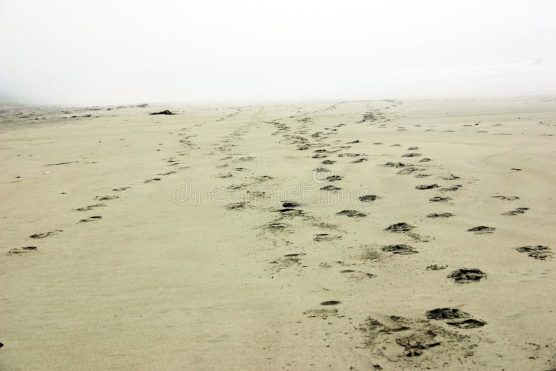 Beach Footprints Fading Away...Vancouver Island Stock Photo - Image of ...