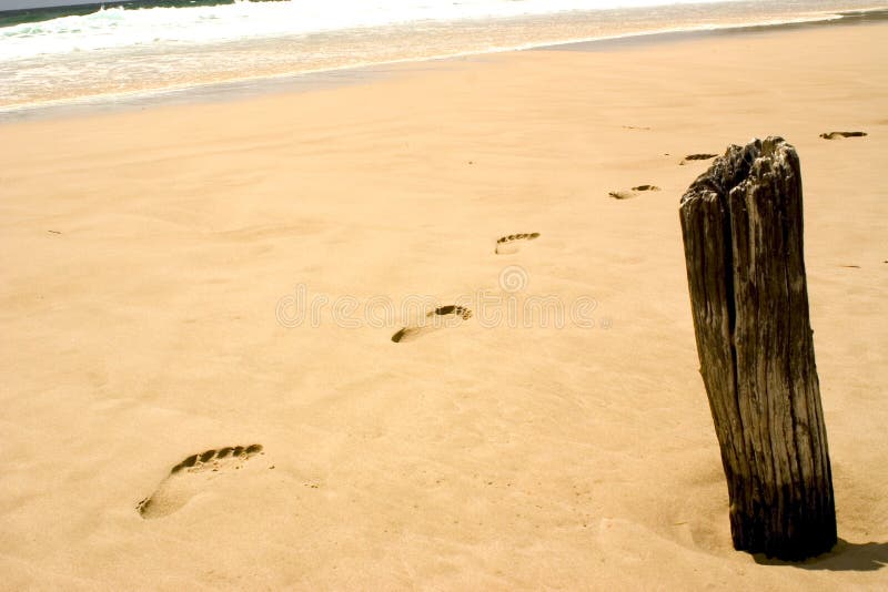 Beach Footsteps stock photo. Image of surf, vacation, holidays - 1090568