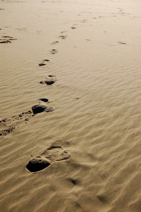 Beach Footsteps stock image. Image of imprinted, travel - 8012859