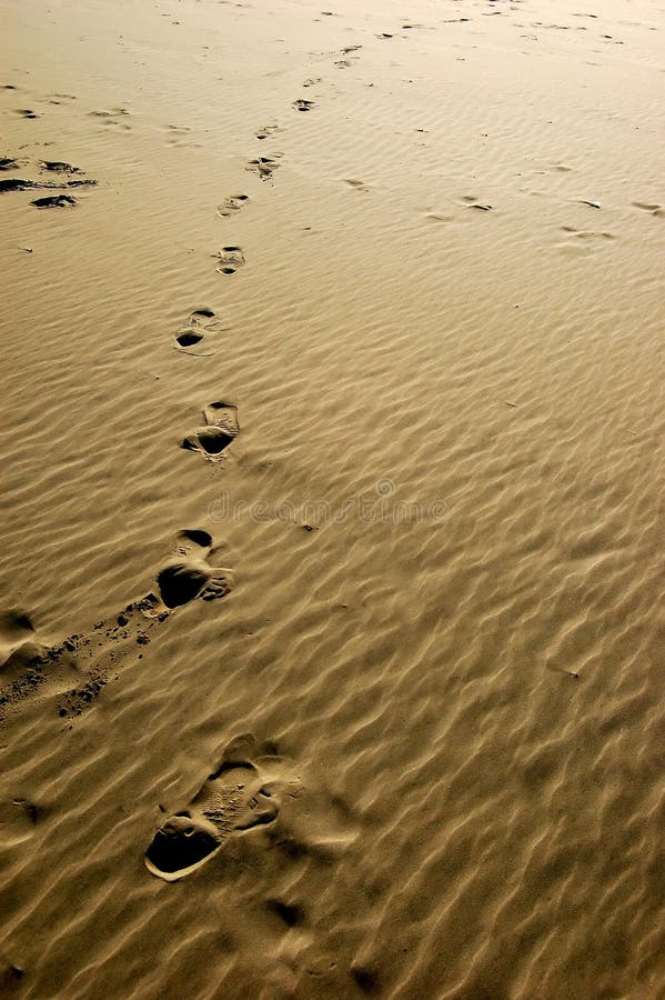 Beach Footsteps stock image. Image of footsteps, imprinted - 8012865