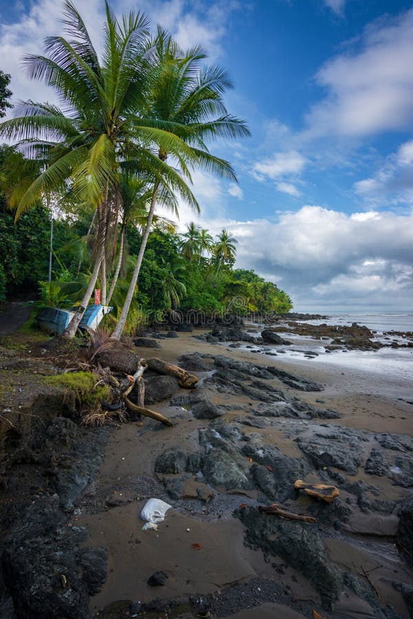 Beach Forest Drake Bay Costa Rica Stock Photos - Free & Royalty-Free ...