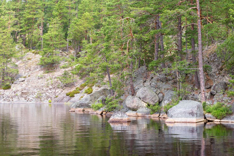 Beach at the Forest Lake with Rocks Stock Image - Image of lake, rocks ...