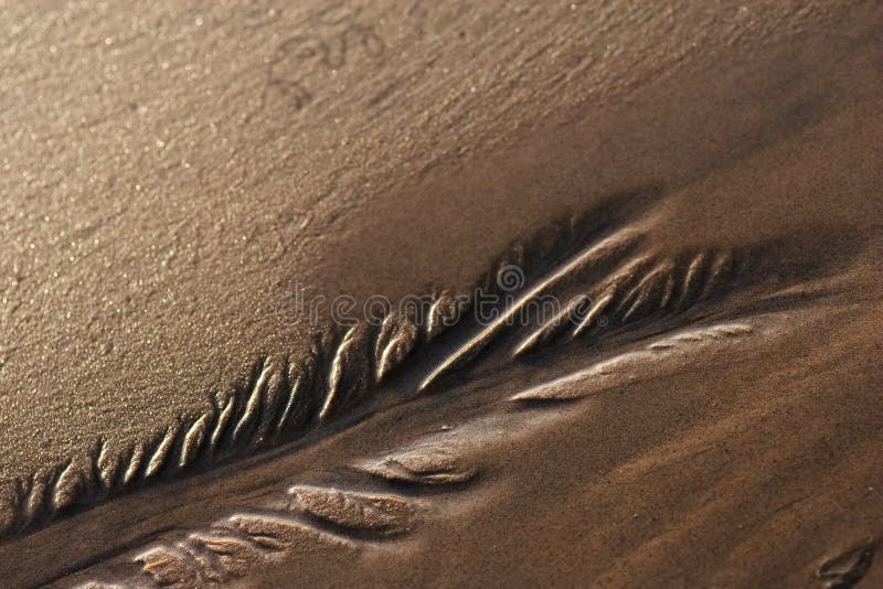 Beach form stock photo. Image of summer, drop, reflexion - 819126