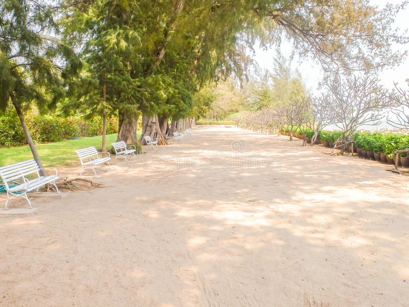 Beach Front Under Shadow Big Tree Stock Photos - Free & Royalty-Free ...