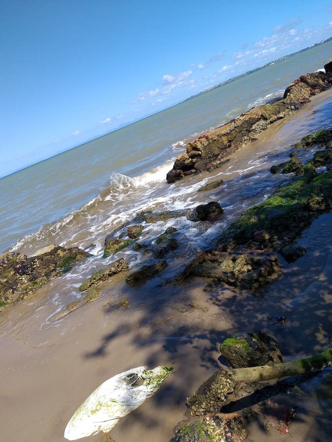 Beach front view stock photo. Image of view, front, sight - 169158424