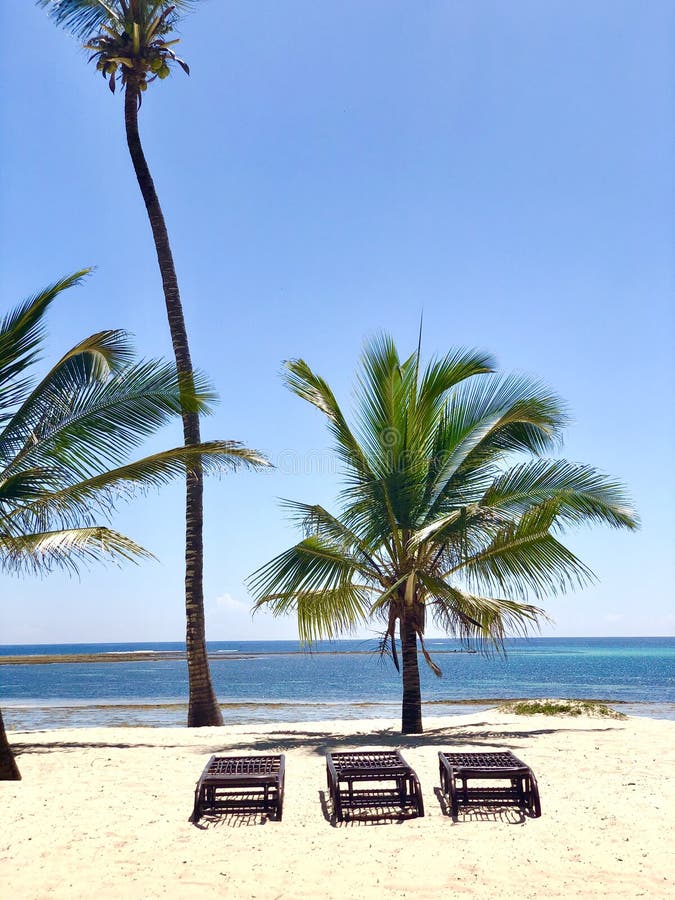 Beach Front Hotel by the Indian Ocean Stock Photo - Image of colour ...