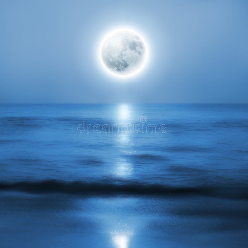 Moonlight Beach Stock Illustrations – 2,421 Moonlight Beach Stock ...