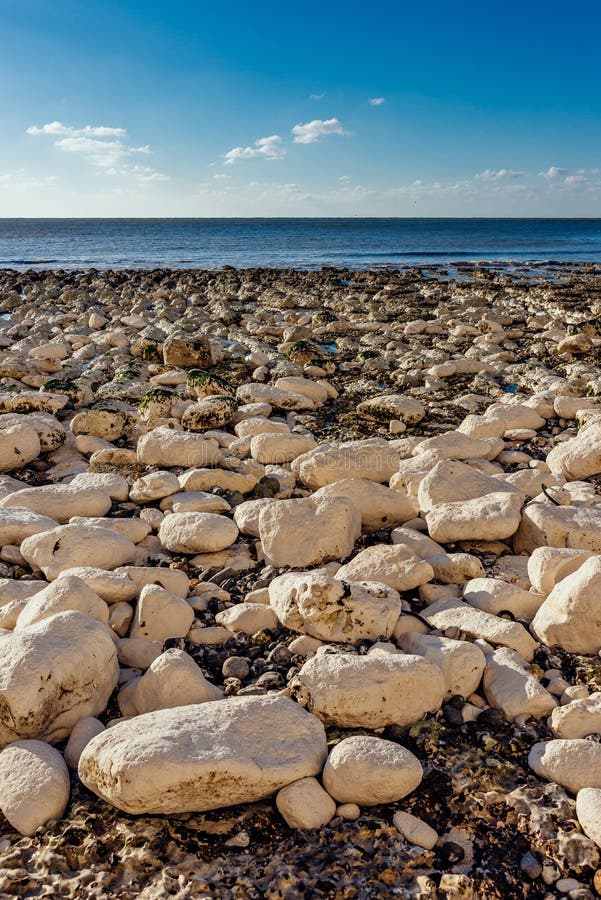 Calm beach full of rocks stock photo. Image of relax - 141129480