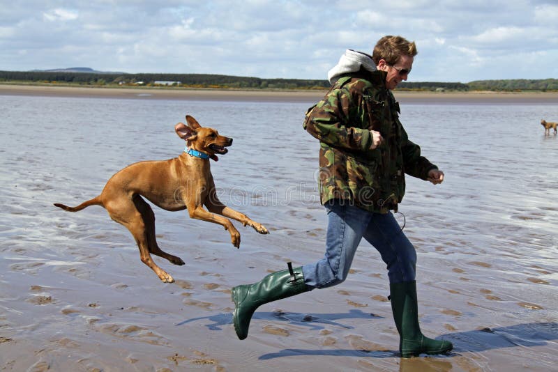 Beach fun stock photo. Image of jump, beach, pursuit, excitement - 9251168