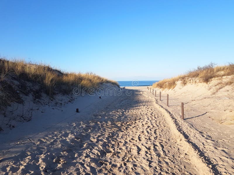 Beach on the German Baltic Sea Stock Image - Image of grass, arrive ...
