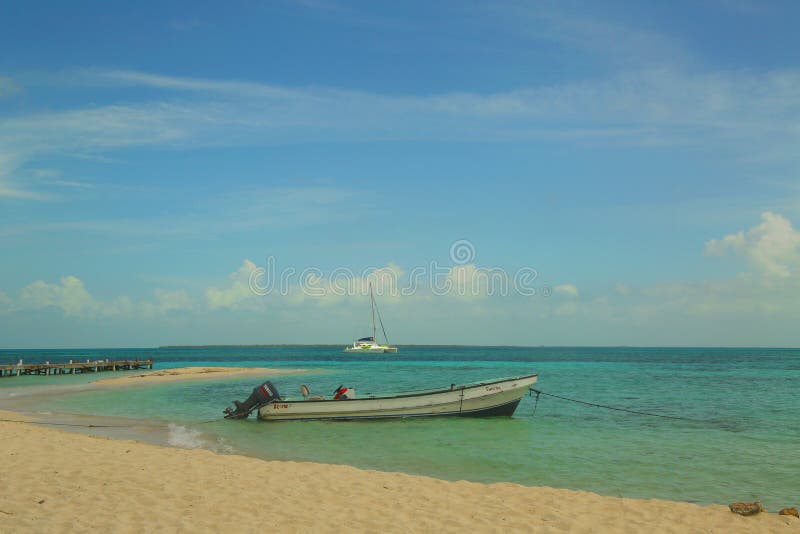 Beach at the Goff S Caye in Belize Stock Photo - Image of paradise ...