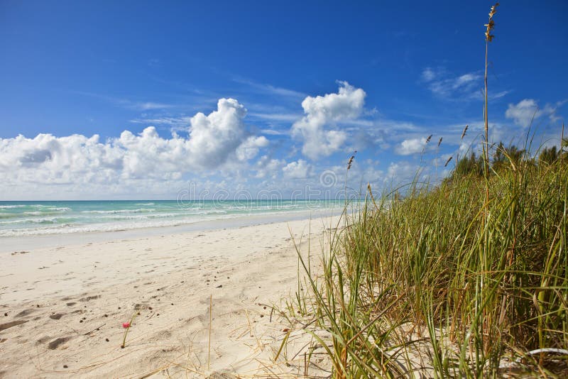 399 Grand Bahama Island Restaurants Beach Stock Photos - Free & Royalty ...