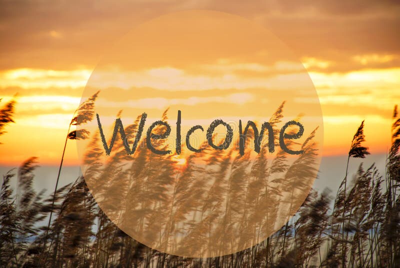 Beach Grass at Sunrise or Sunset, Text Welcome Stock Photo - Image of ...