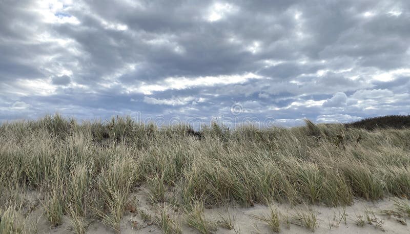 Cape Cod Beach Dune and Snow Fence Stock Photo - Image of dune, chatham ...