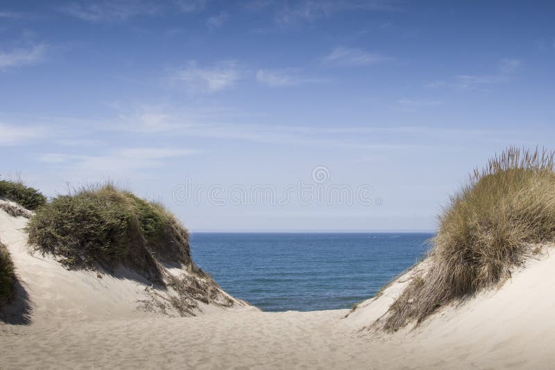 Beach with grassy dunes stock image. Image of europe - 193126595