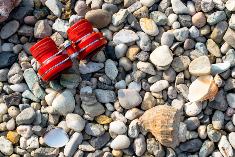 Beach with Gray Pebbles and Old Shells Stock Image - Image of lying ...