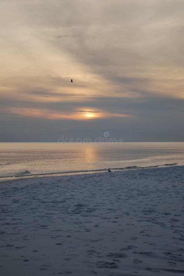 Beach Gulf Coast Sunset stock image. Image of light, unique - 68939225