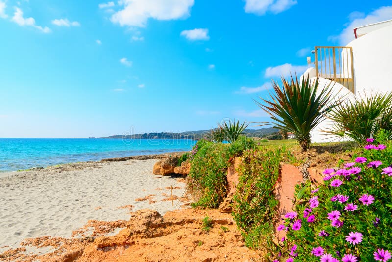 Beach House in Alghero Shoreline Stock Photo - Image of mediterranean ...