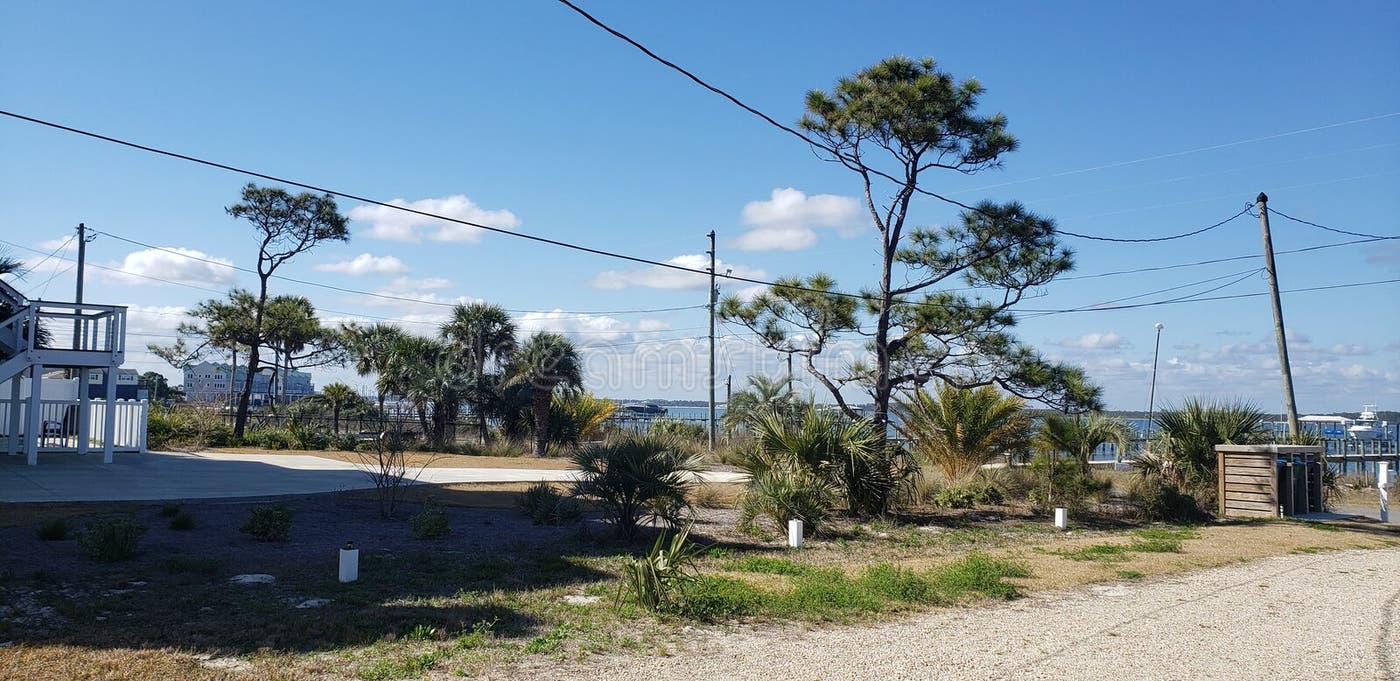 Alligator Point Fl Stock Photos - Free & Royalty-Free Stock Photos from ...