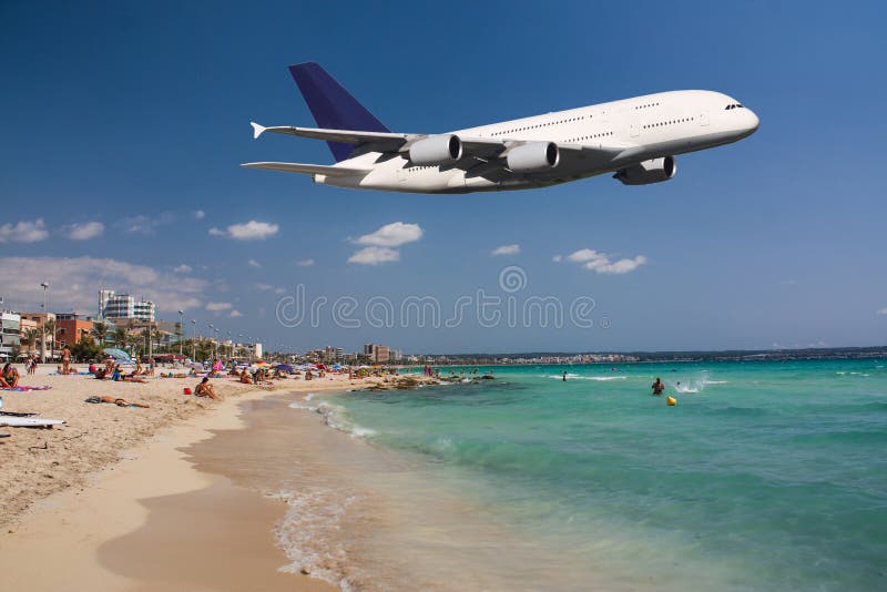 Beach stock photo. Image of flying, flight, huge, exotic - 48777992