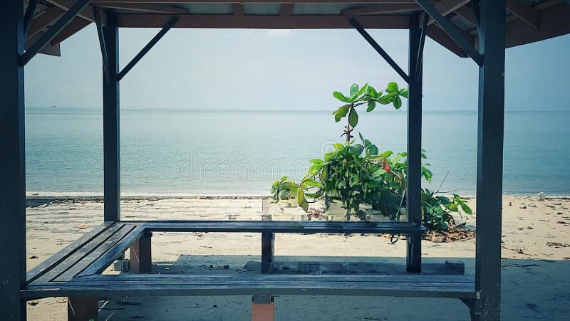 Beach Hut with Sea and Tree Views Stock Photo - Image of wood, tree ...