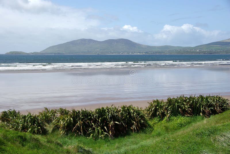 Vine strand beach stock image. Image of background, ireland - 100213365