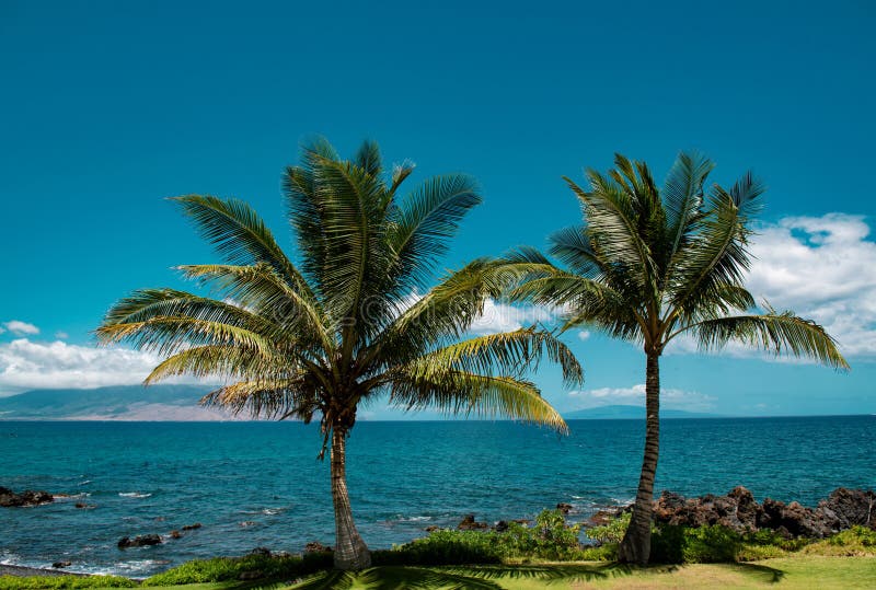 Beach on the Island of Maui, Aloha Hawaii. Stock Image - Image of tide ...