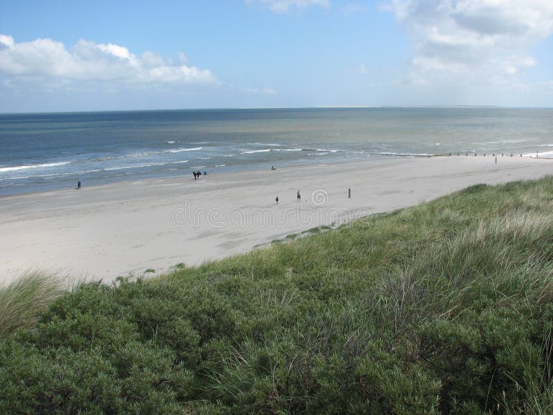 Beach stock photo. Image of island, beach, vlieland, nature - 49964288