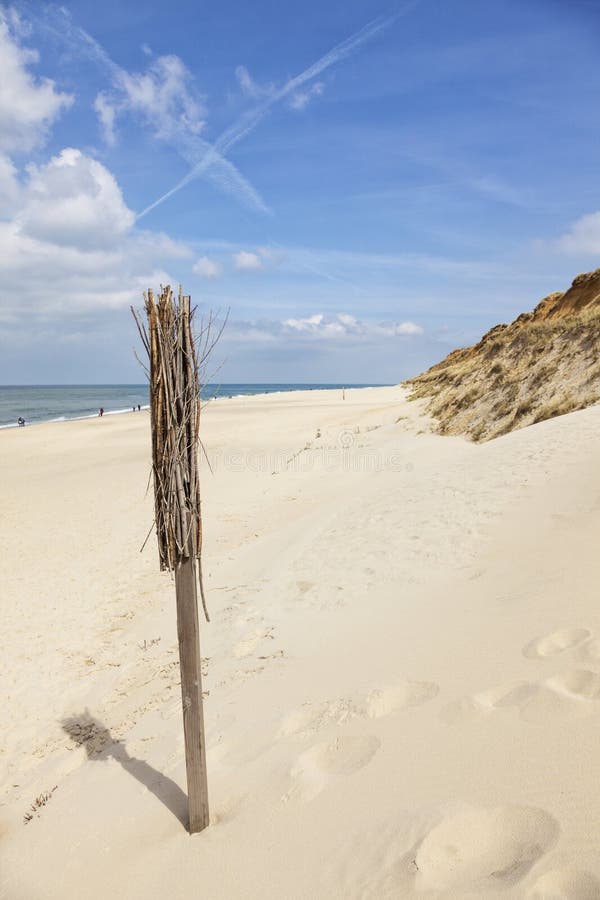 Withy at the Beach of Kampen, Sylt Stock Image - Image of sand, tourism ...