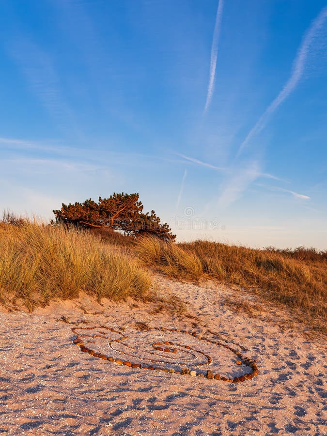 Beach in Kloster on the Island Hiddensee, Germany Stock Photo - Image ...