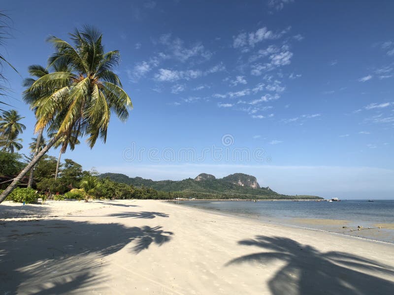 Beach at Koh Mook Thailand stock image. Image of palmtree - 186355615