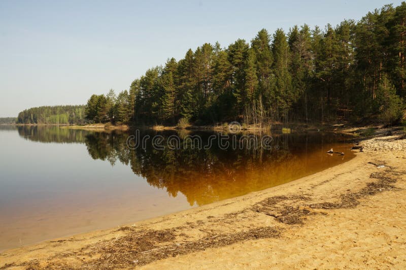Beach at the Lake of the Forest Stock Photo - Image of lakes ...
