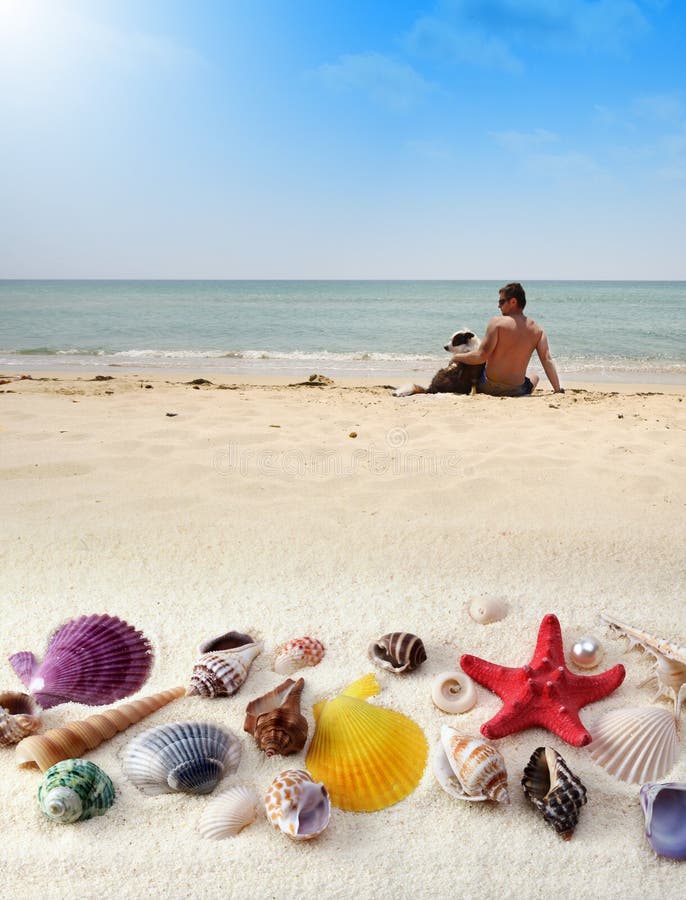 Beach landscape stock photo. Image of tropical, landscape - 25039434