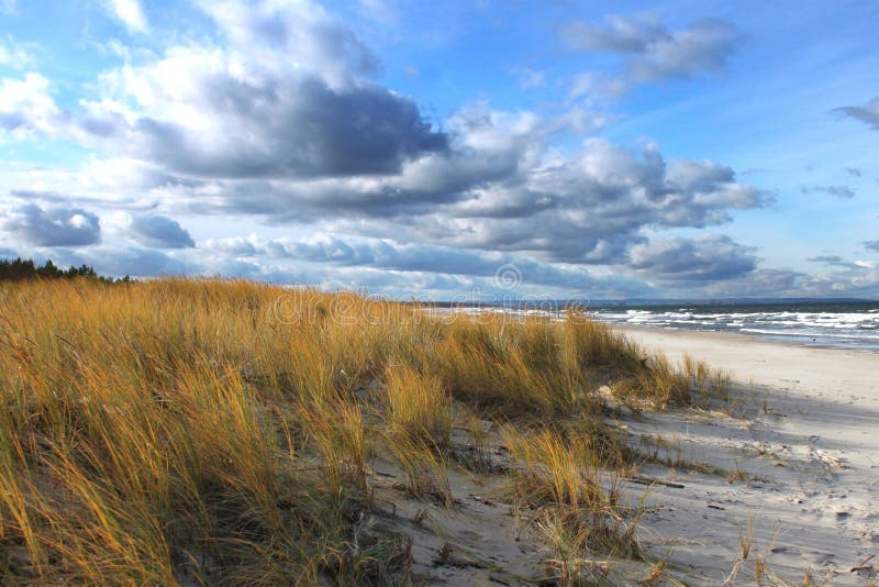 Beach landscape horizontal stock image. Image of poland - 11580123