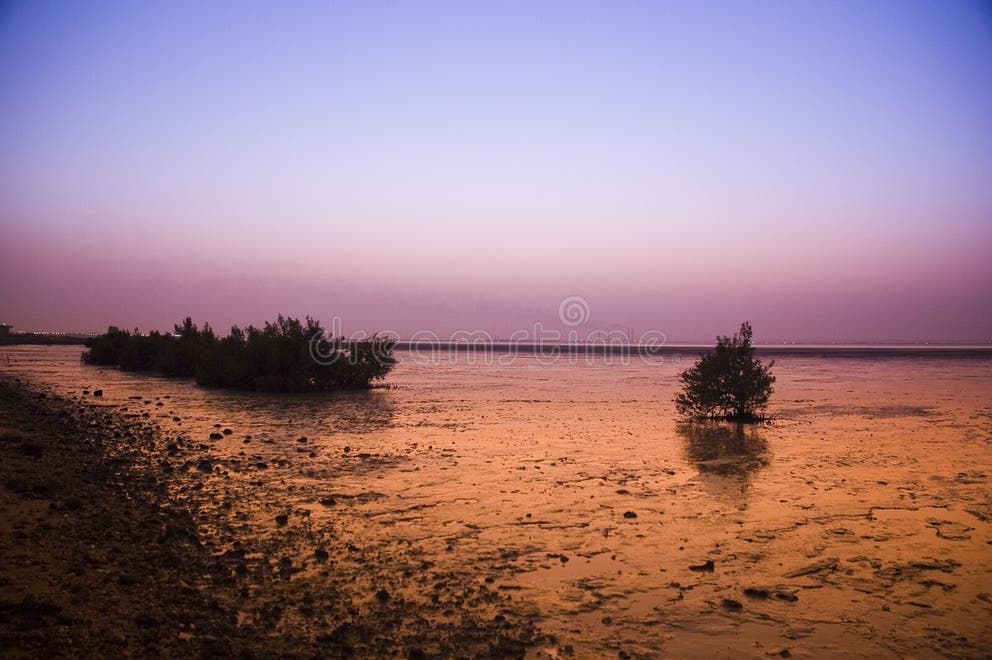 Beach Landscape with at Night Stock Image - Image of house, quiet: 3340103