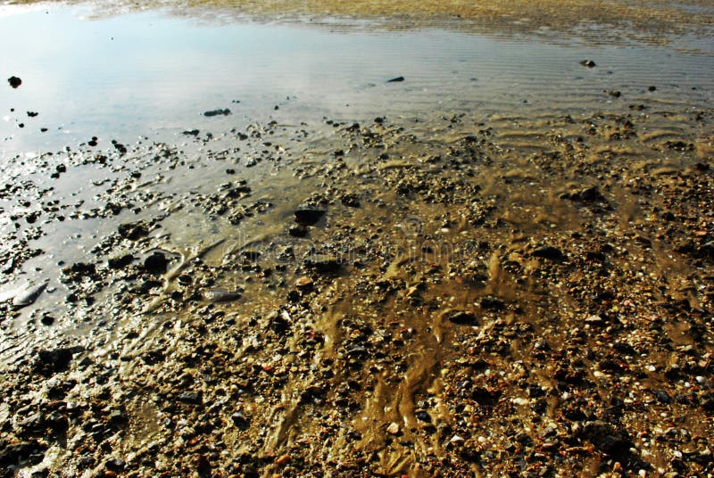 Beach life stock photo. Image of coral, texture, landscapes - 61397898