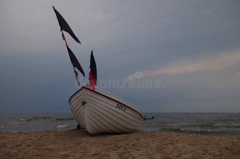 Beach Life at the Baltic Sea Stock Photo - Image of bird, europe: 57895800