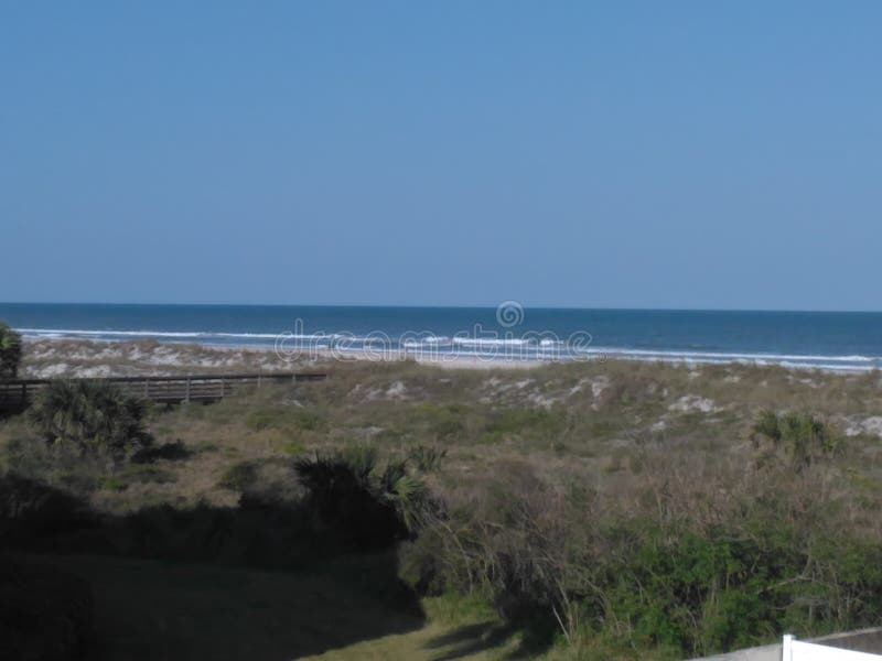 Beach life stock image. Image of beach, nature, life - 89777907
