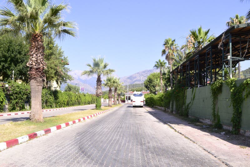 Beach life of Turkey editorial image. Image of beds, holiday - 57204450