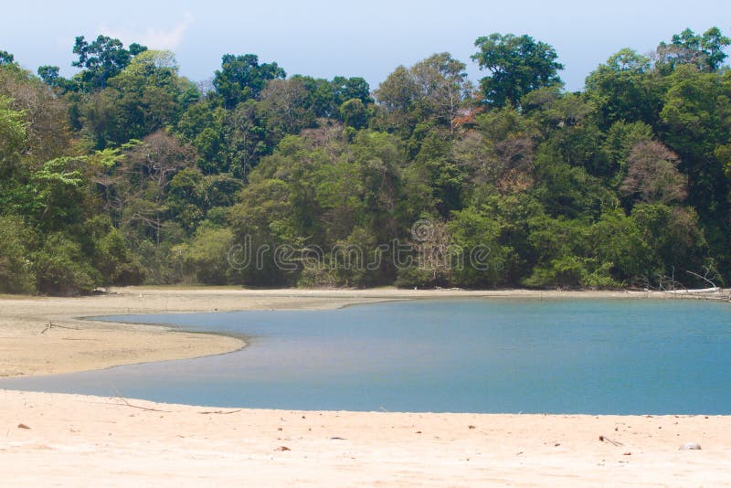 Beach Line Indian Ocean. Sand, Tree, Forest. Clean Lagoon Stock Image ...